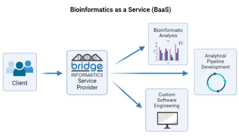 Our Services - Bridge Informatics