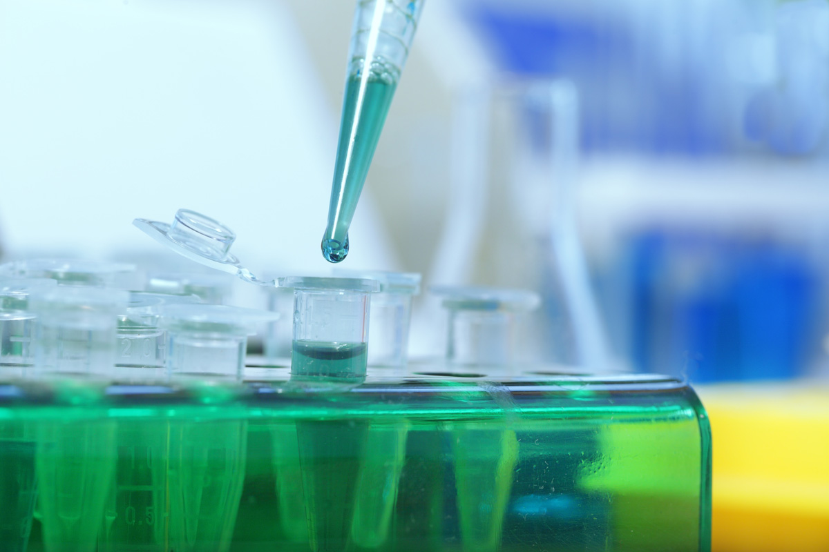 Genomic Analysis of “Immortal” Jellyfish Uncovers Genes Linked to ...